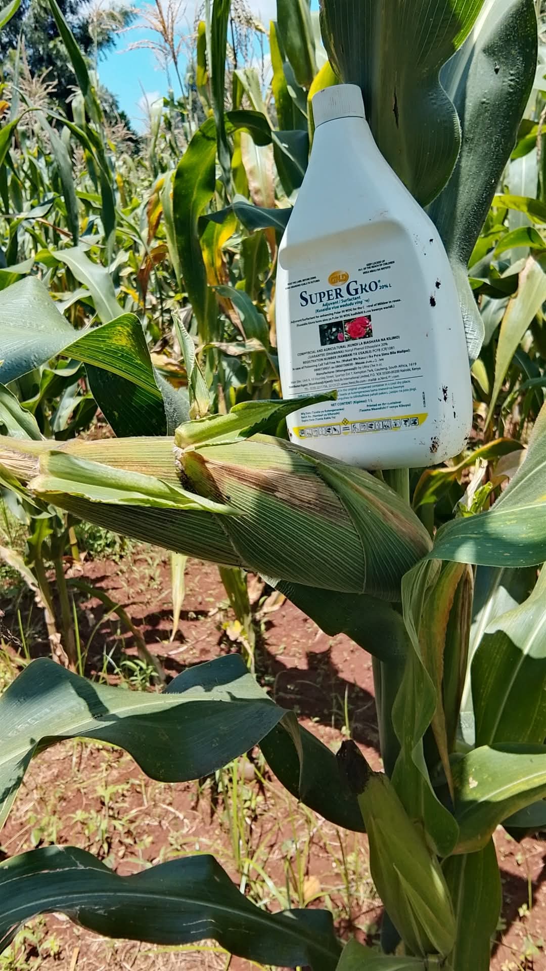 SUPER GRO FOLIAR - Robi Cart